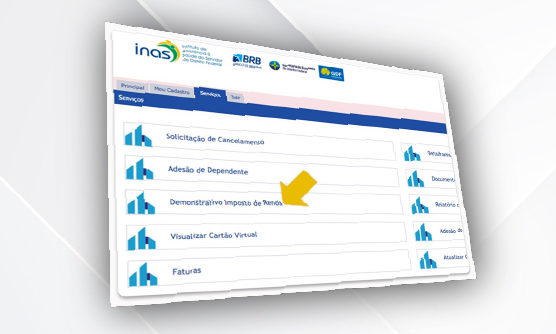 INAS disponibiliza demonstrativo para declaração de IR; saiba como ...